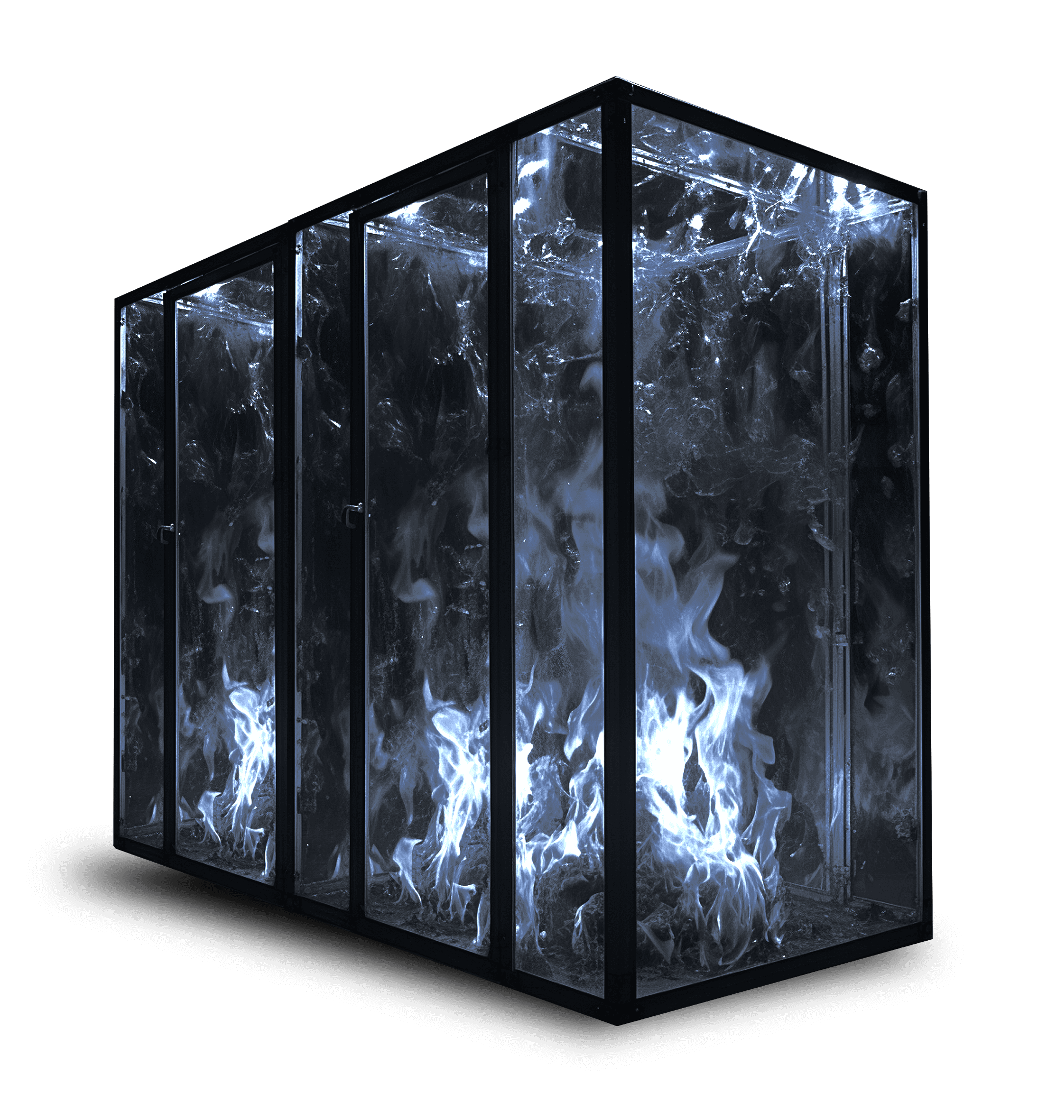 RIS – Redbelt Security