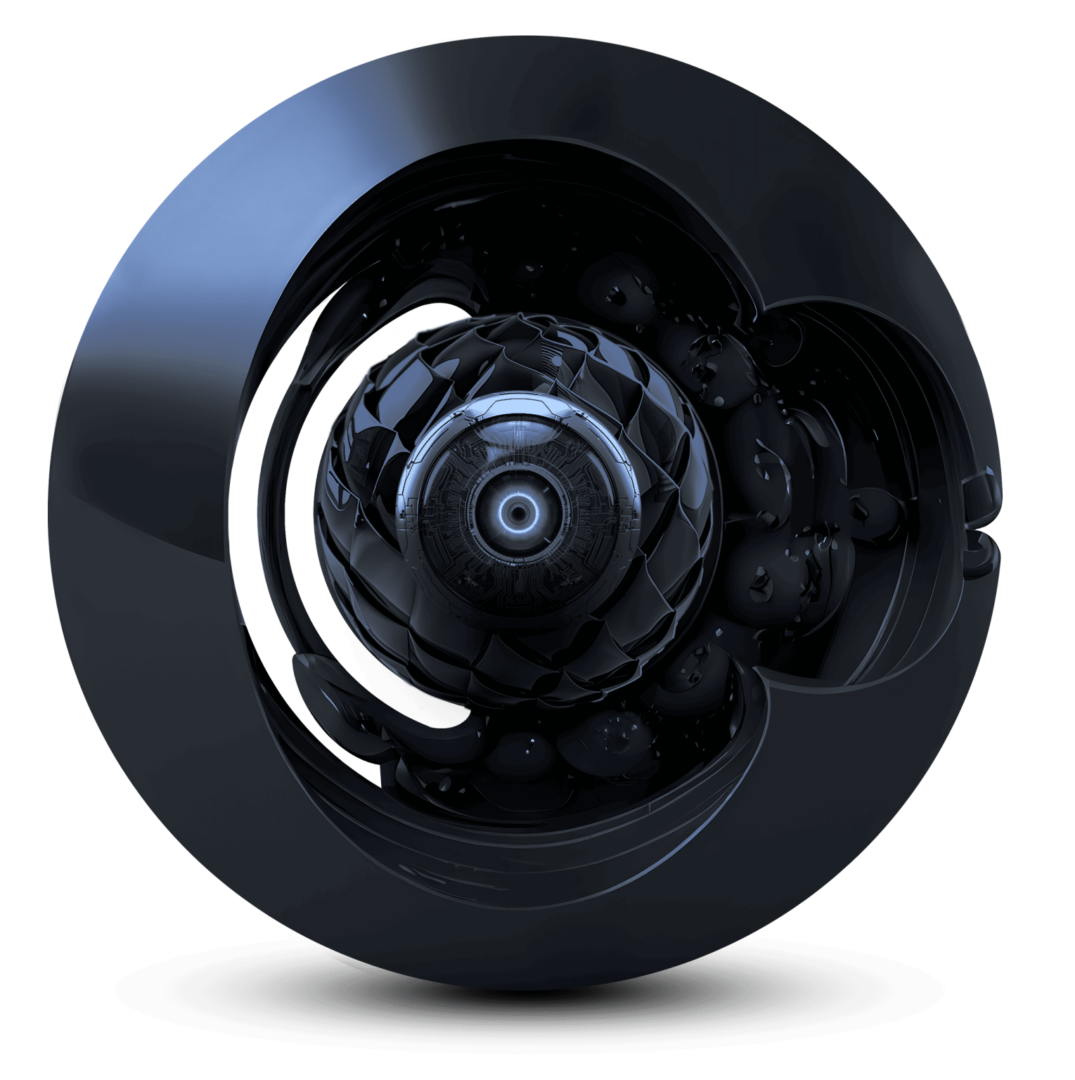RIS – Redbelt Security